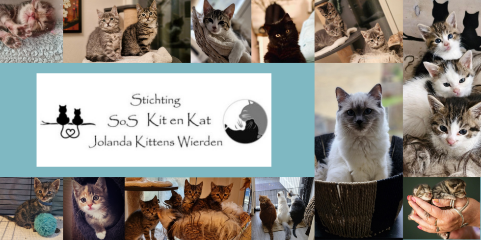 ANBI | stichting SOS Kit en Kat